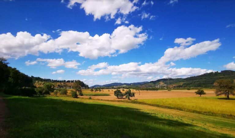 Parkplatz Appenweier ?️ Das Schwule treiben in Offenburg