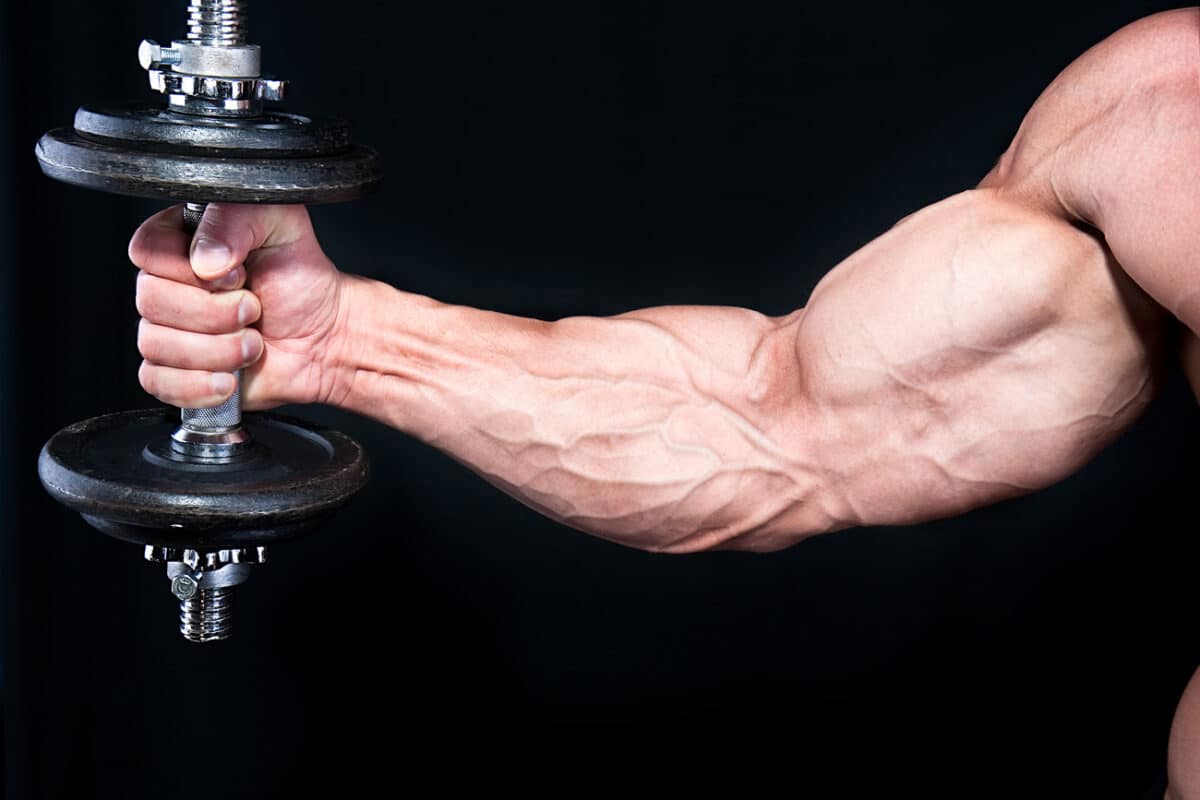 In T-shirts trained forearms look especially sexy- Planet-Randy